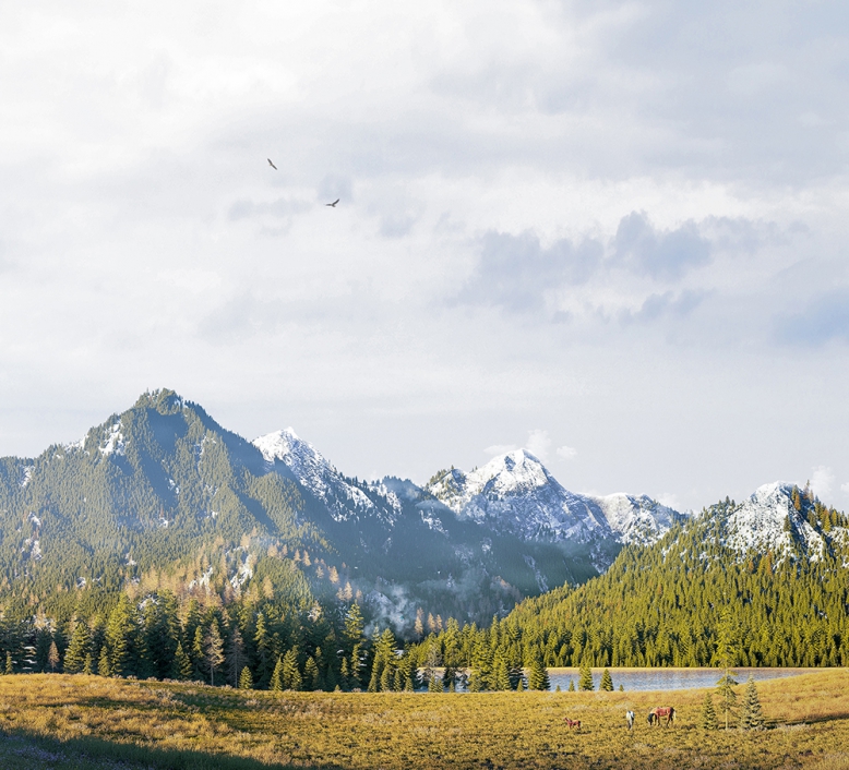 SOUTHERN POLAND 2021